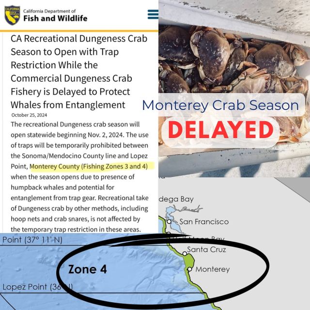 Our Boats - J&M Sport Fishing